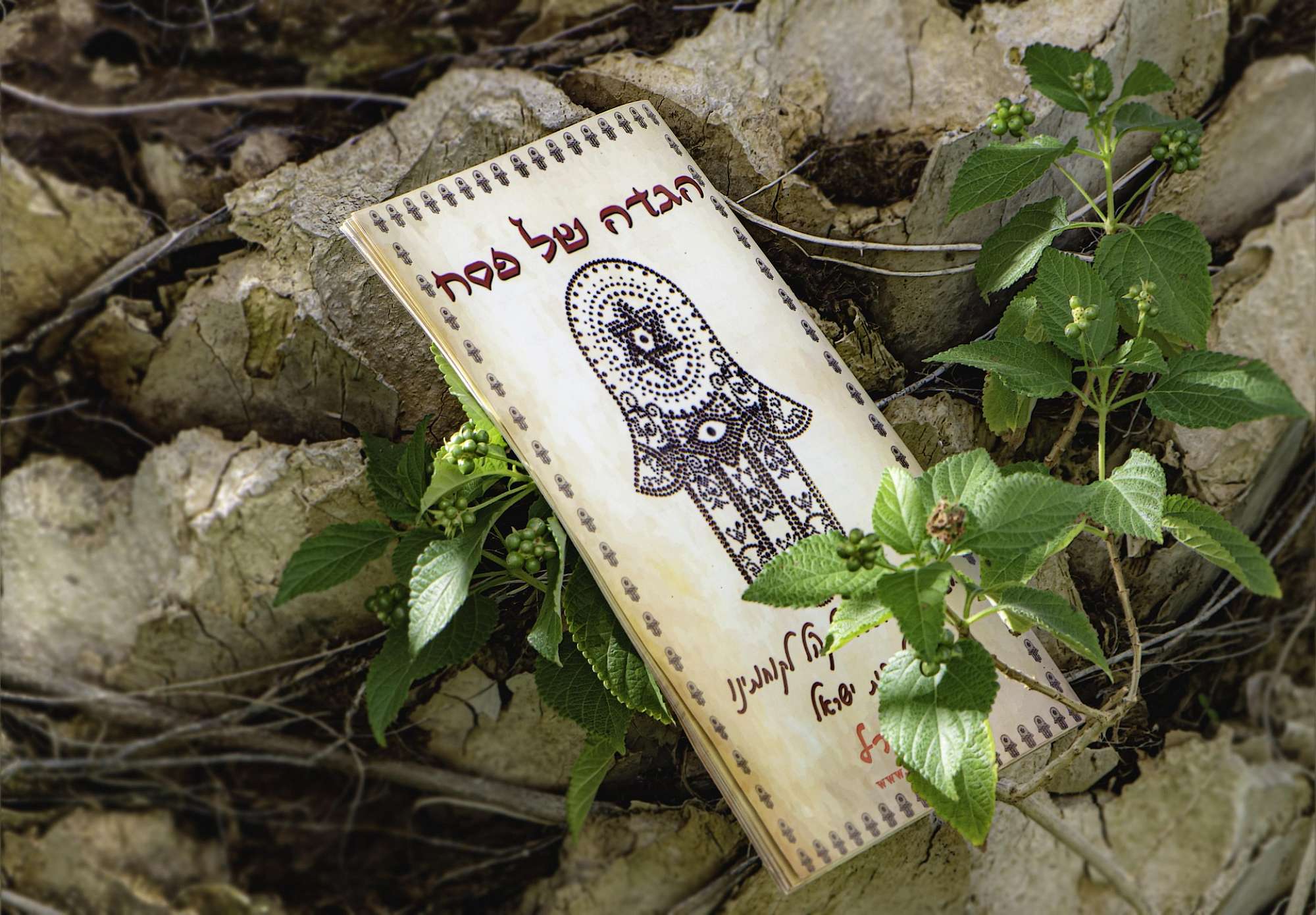 Joint Statement on "Christian Seders"