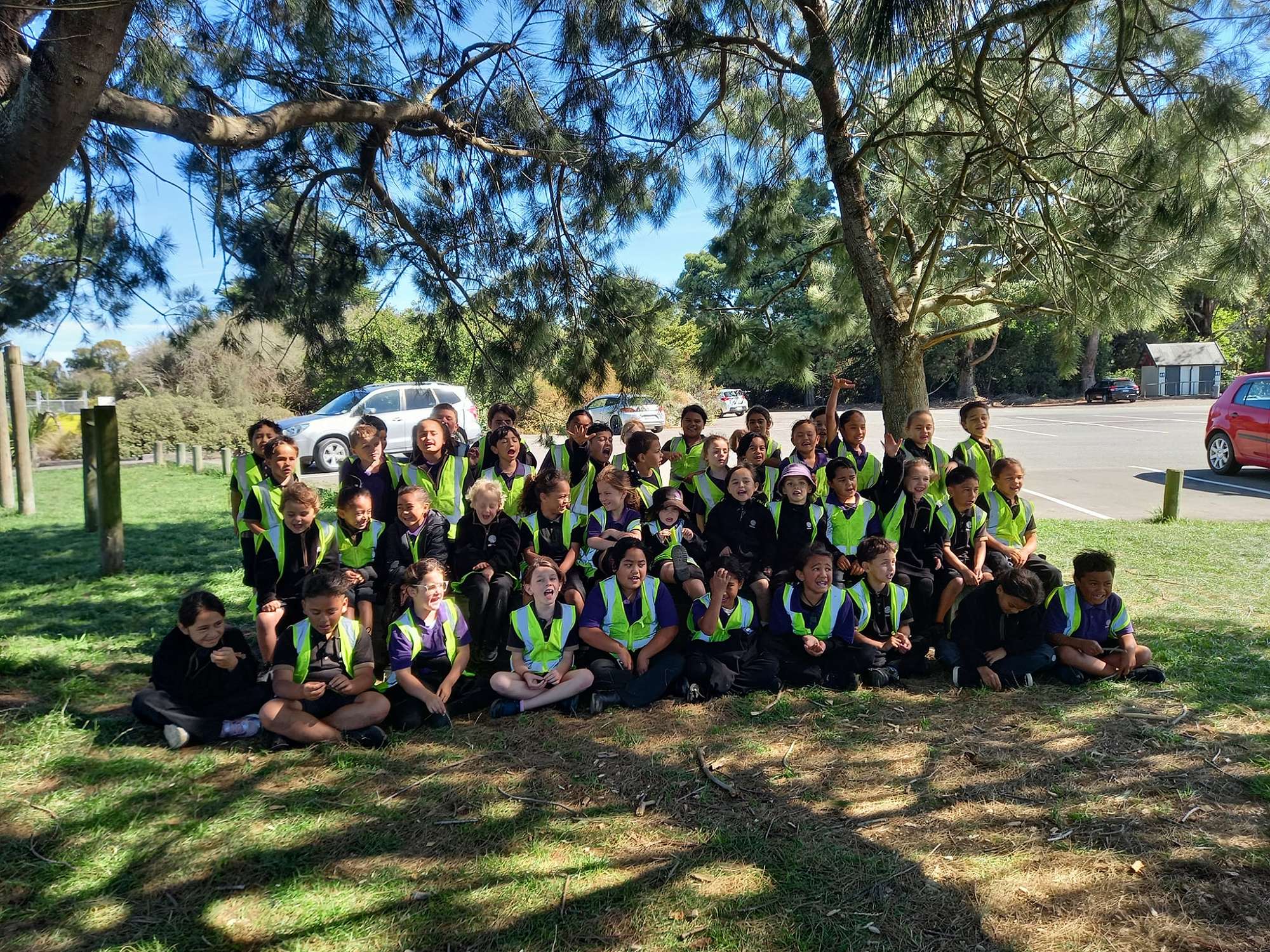 Kōmanawa Riroriro raua ko Makomako