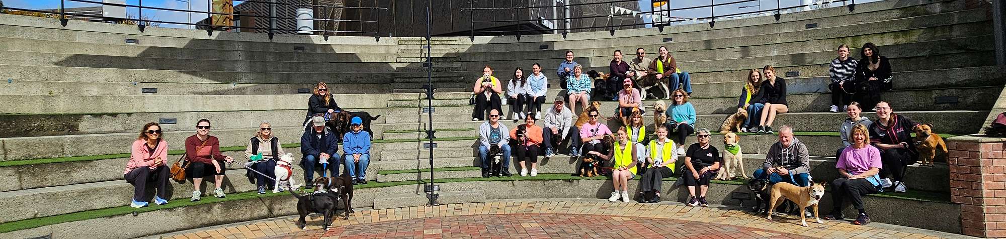 11BULA’s Community Dog Walk Supports Pet Refuge — MGC Bulletin - 25 ...