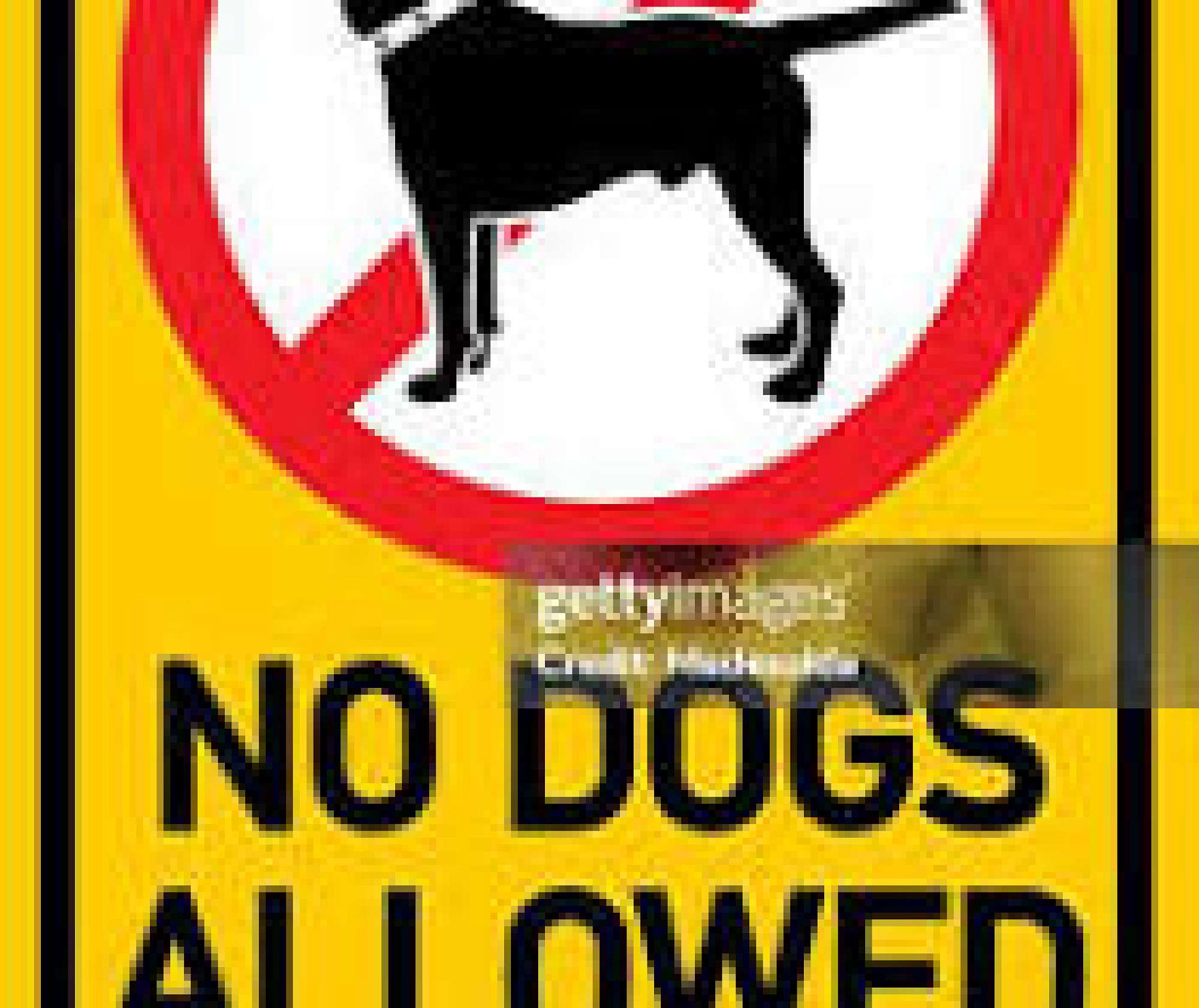 No Dogs allowed on school property - exceptions for service dogs.