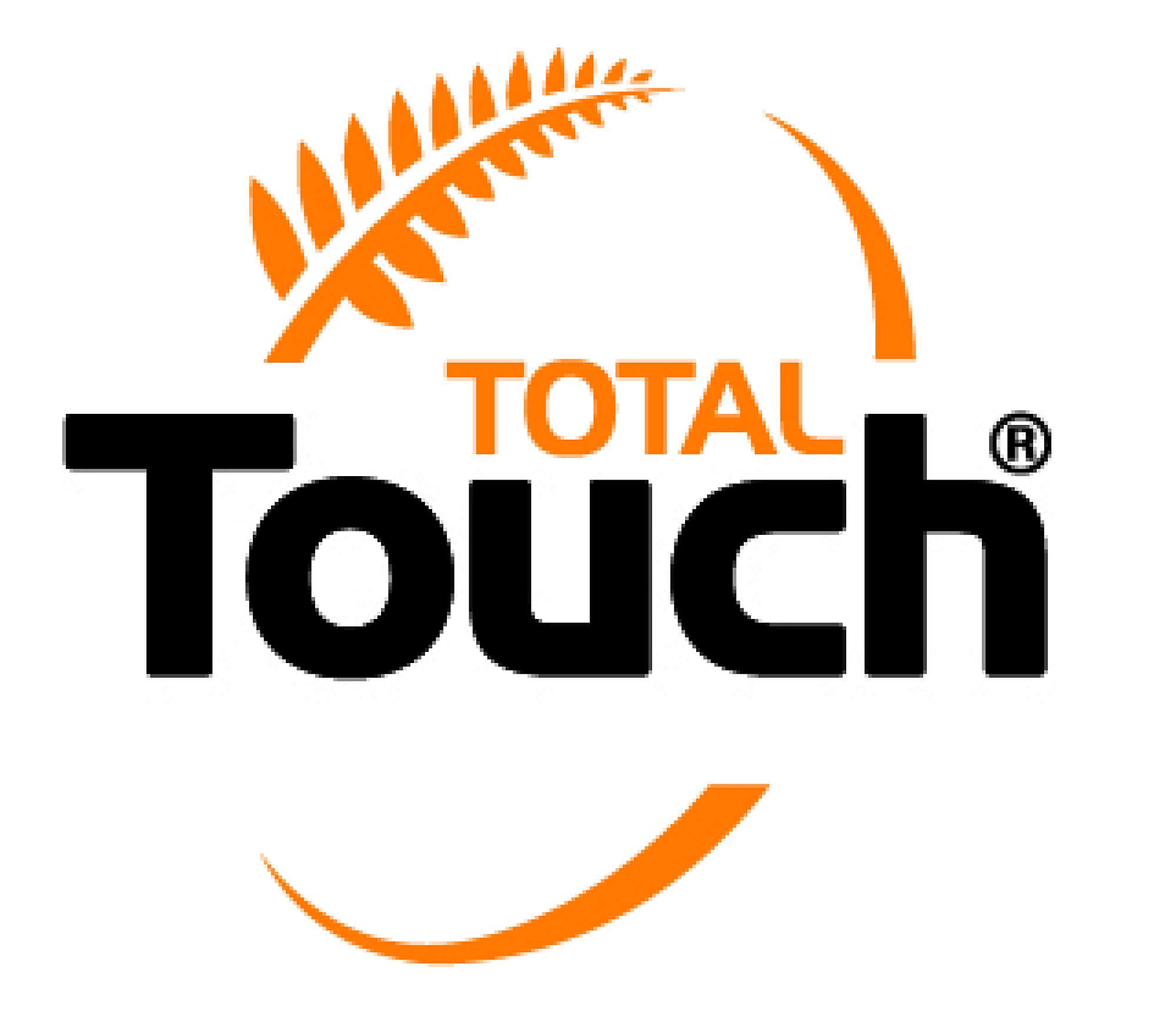 Touch Rugby League for Term 4 2024 and Term 1 2025