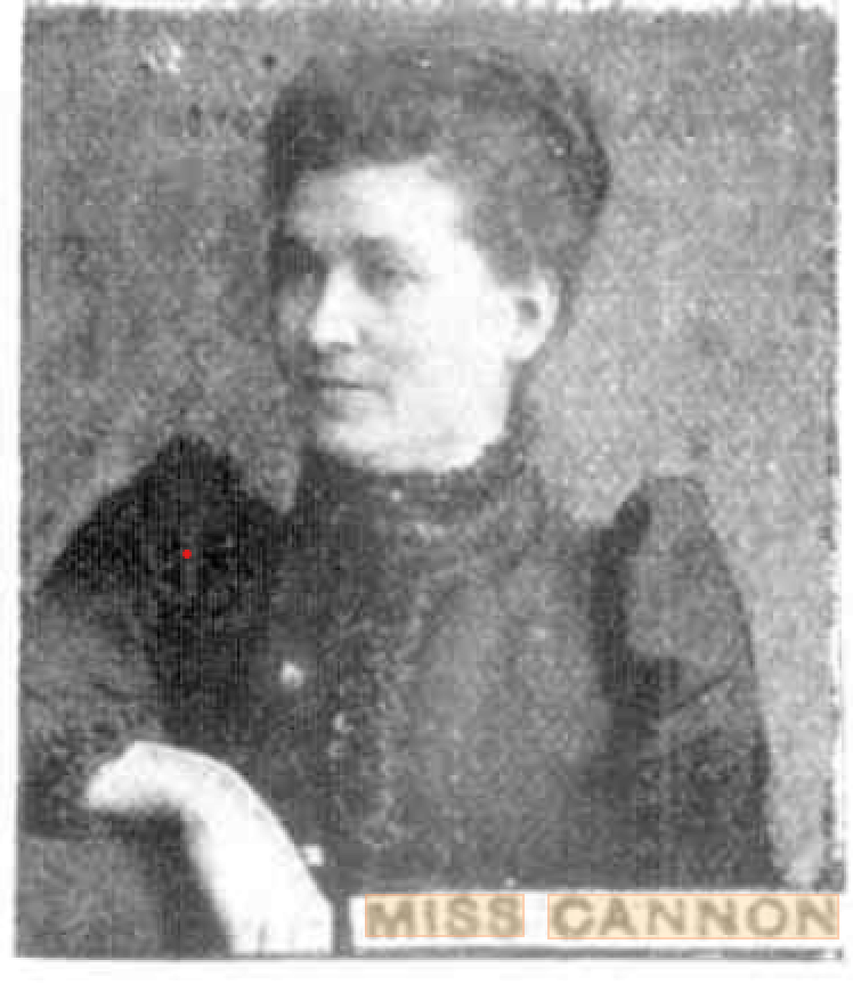 Converting the World Maud Cannon – Dunedin to China