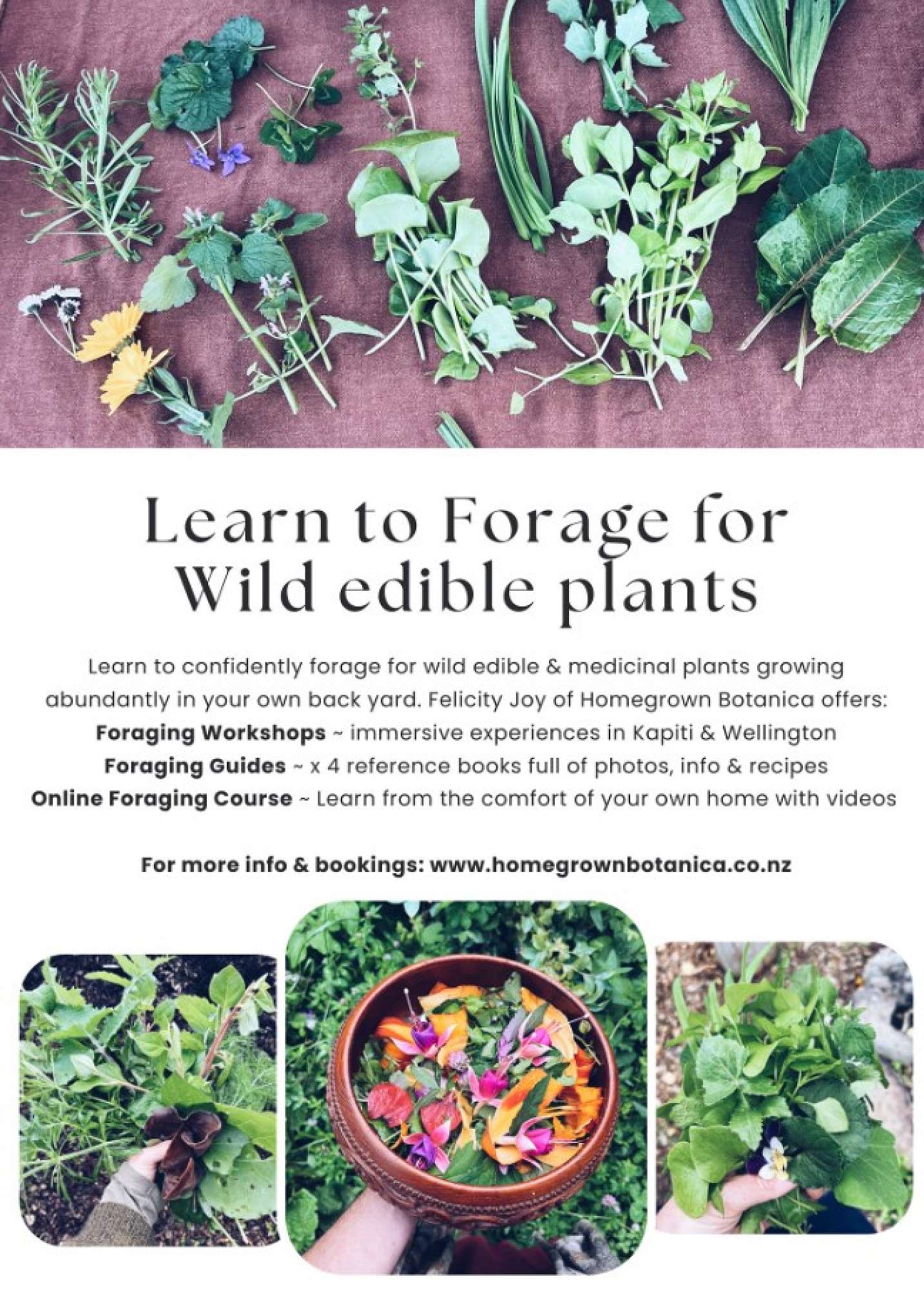 Learn to Forage for Wild edible plants