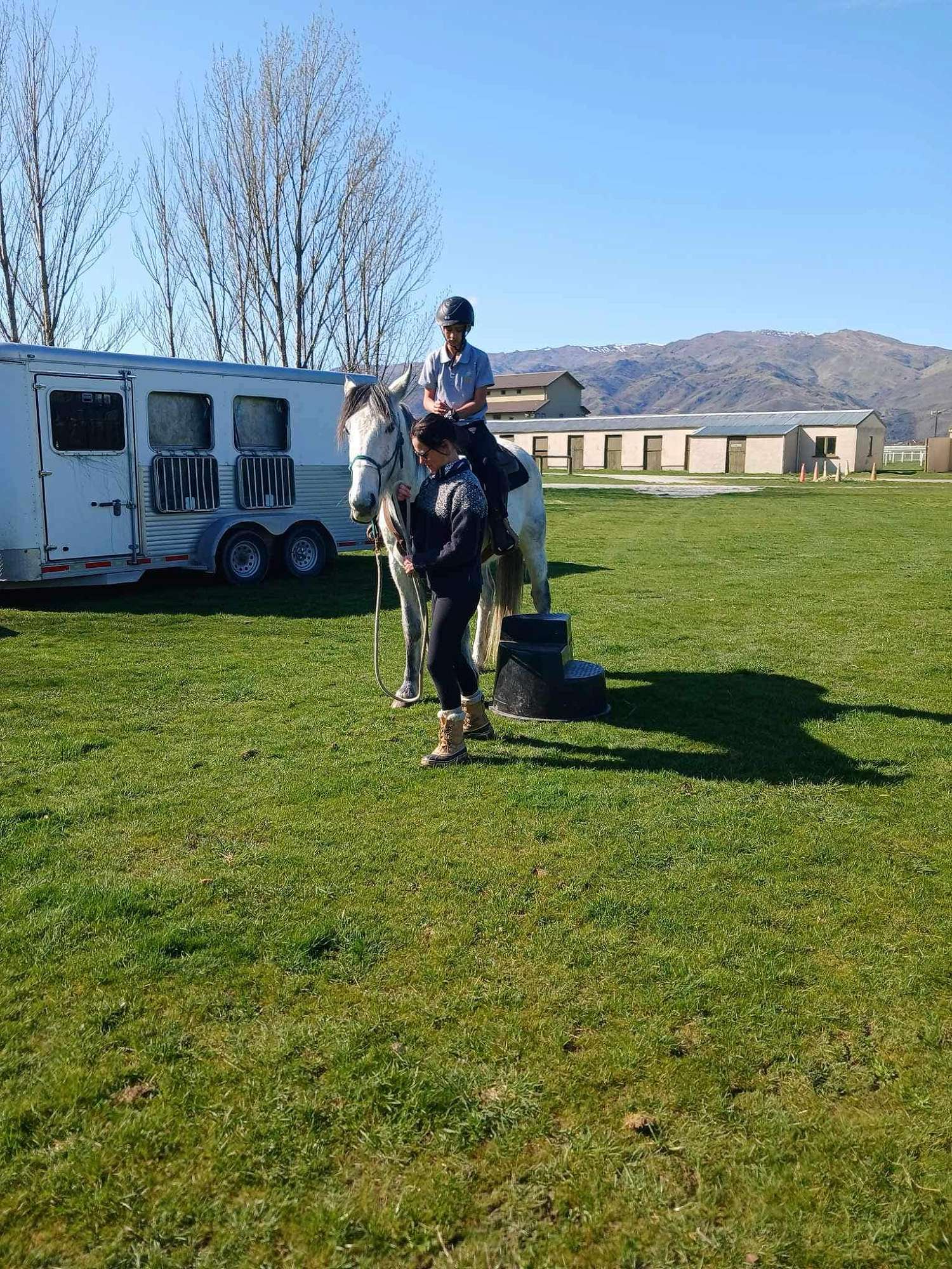 Horse Programme
