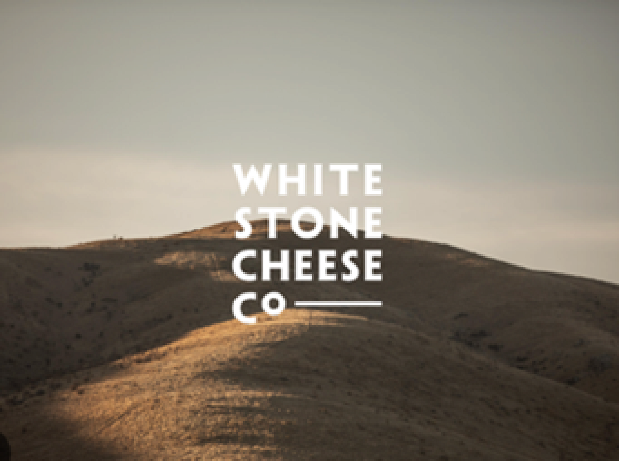 Agribusiness students visit Whitestone Cheese
