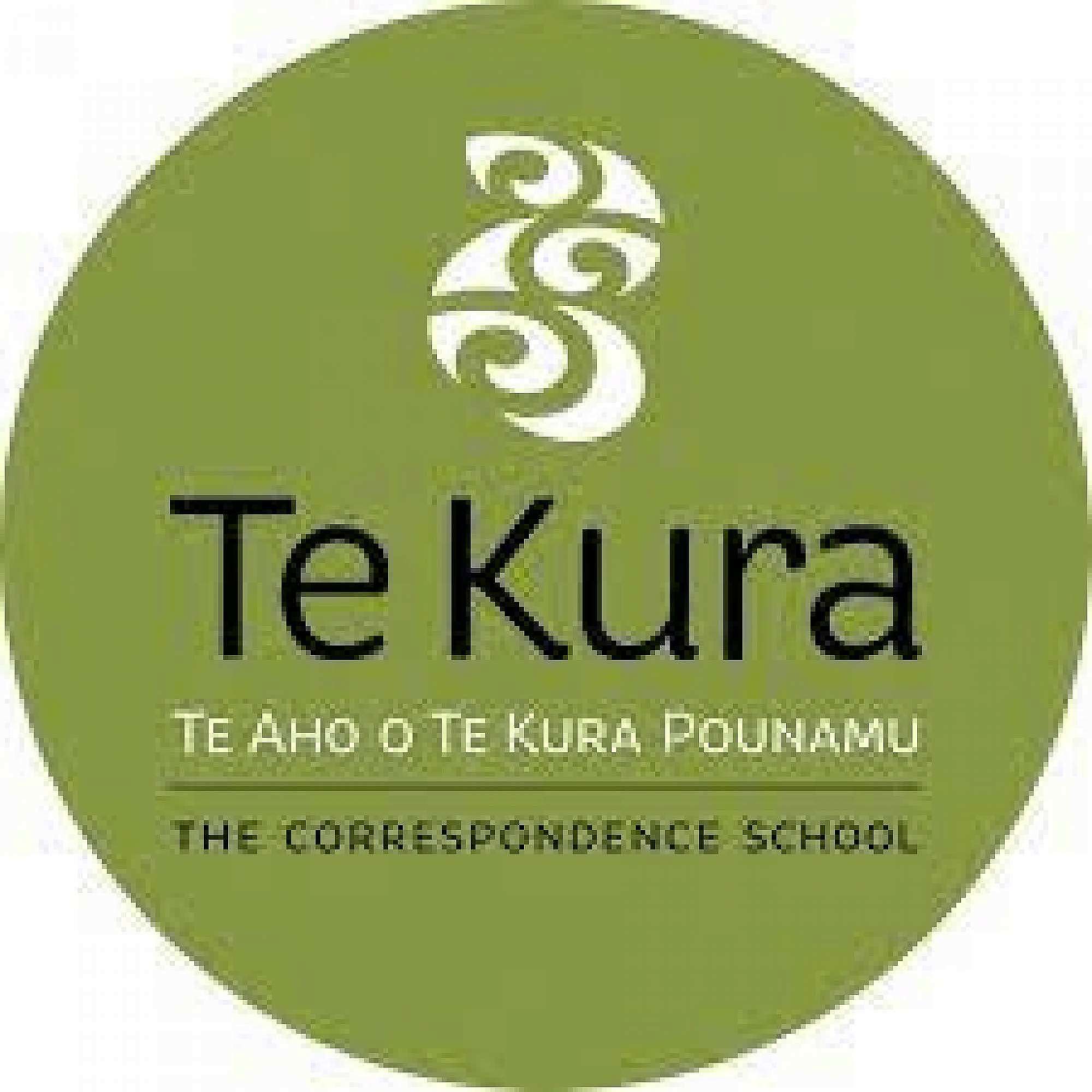 Summer School Te Kura registrations are now open