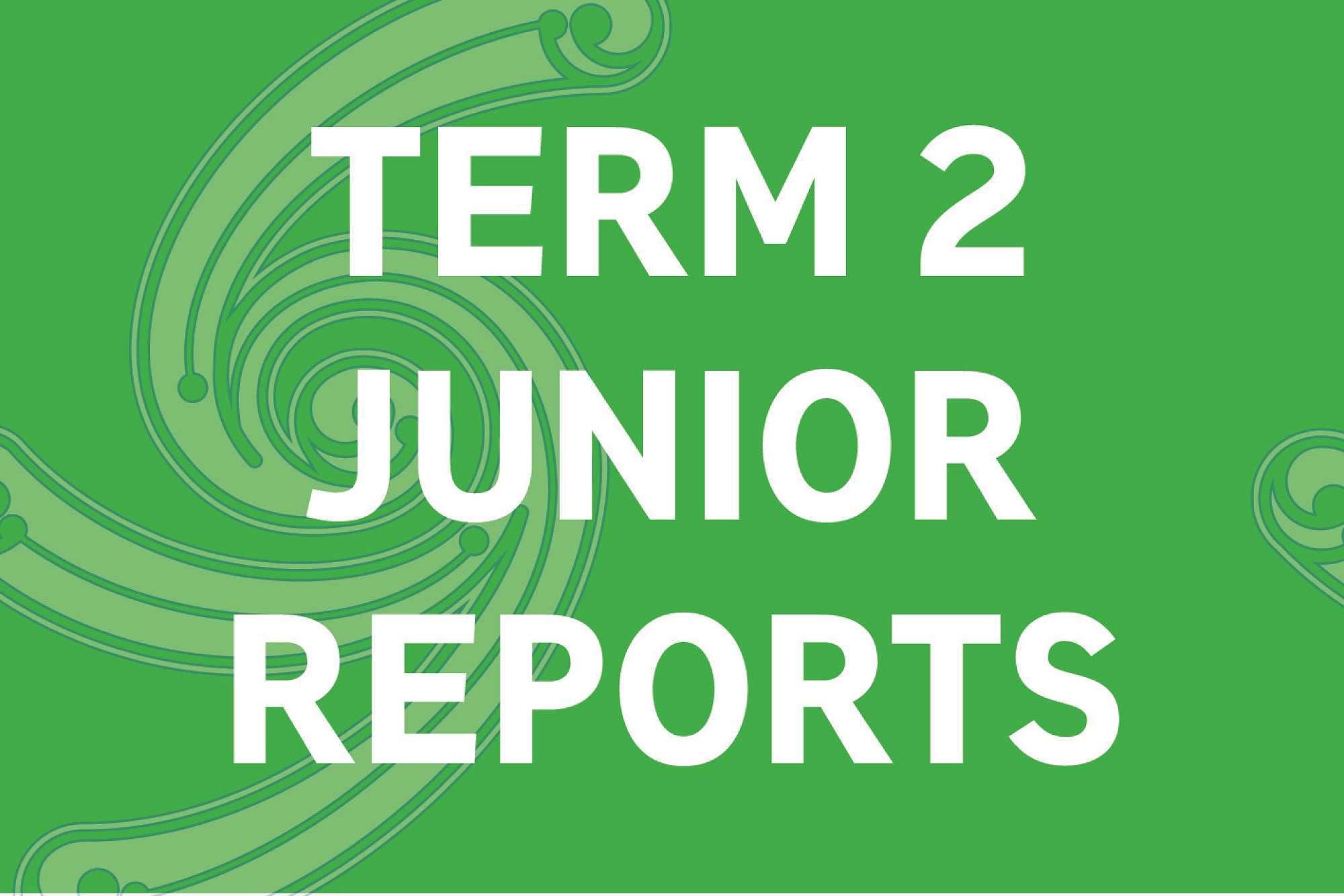 Term 2 Junior Reports — TPWOW News - June 25