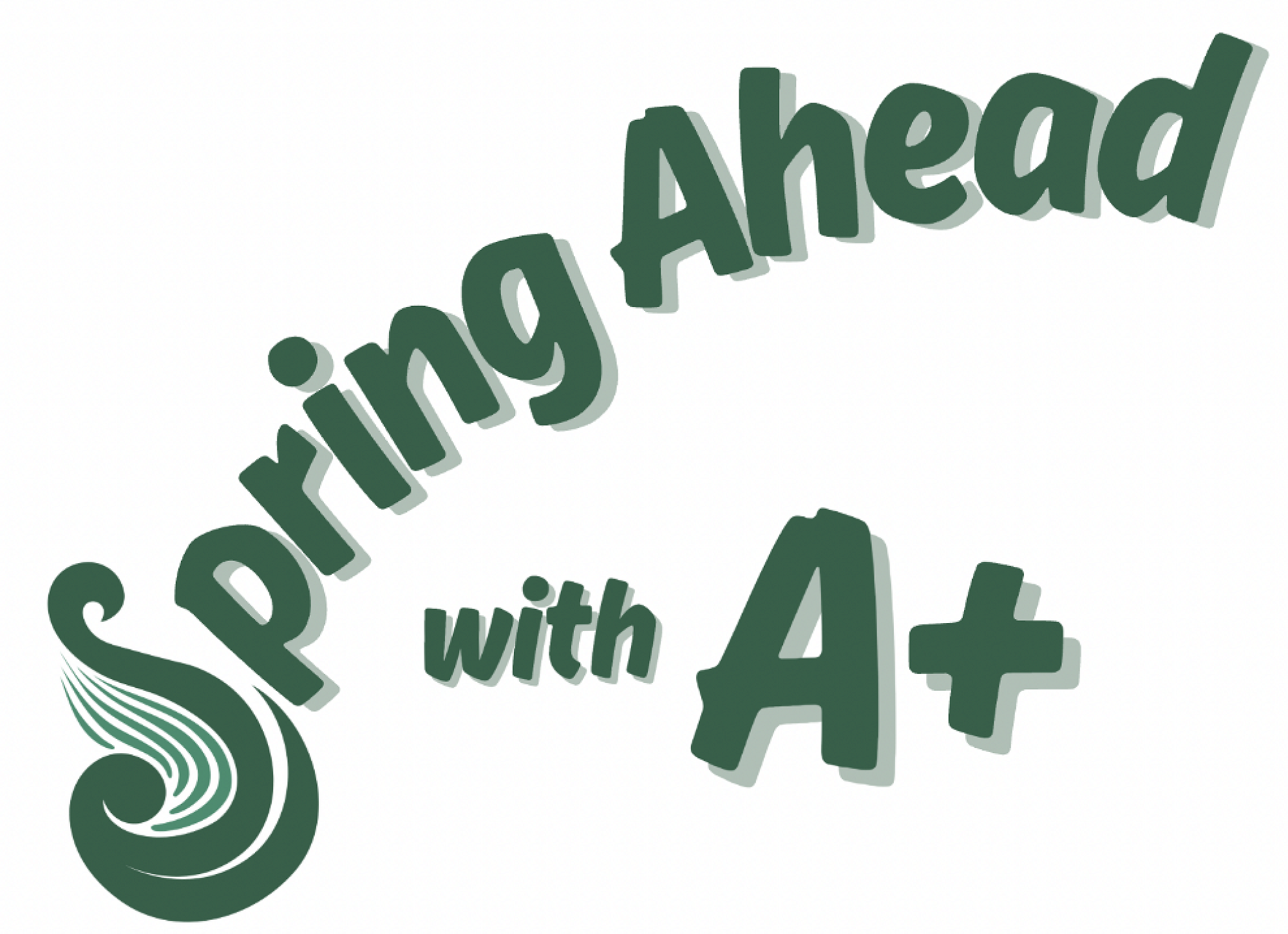 PB4L at Springston School Te Kura o Makonui