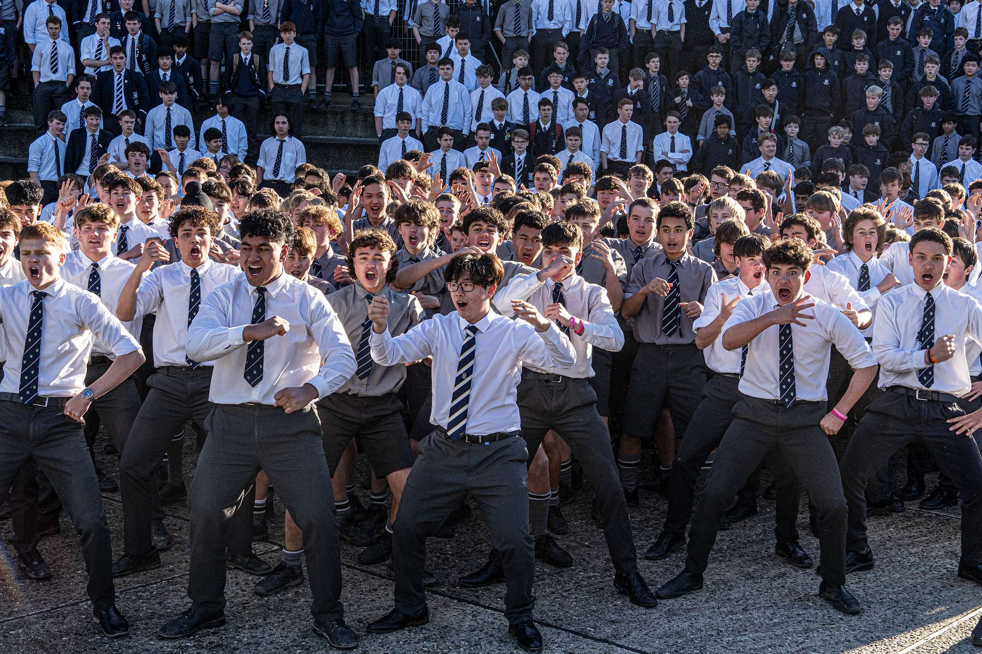 School Haka / Tū Mana