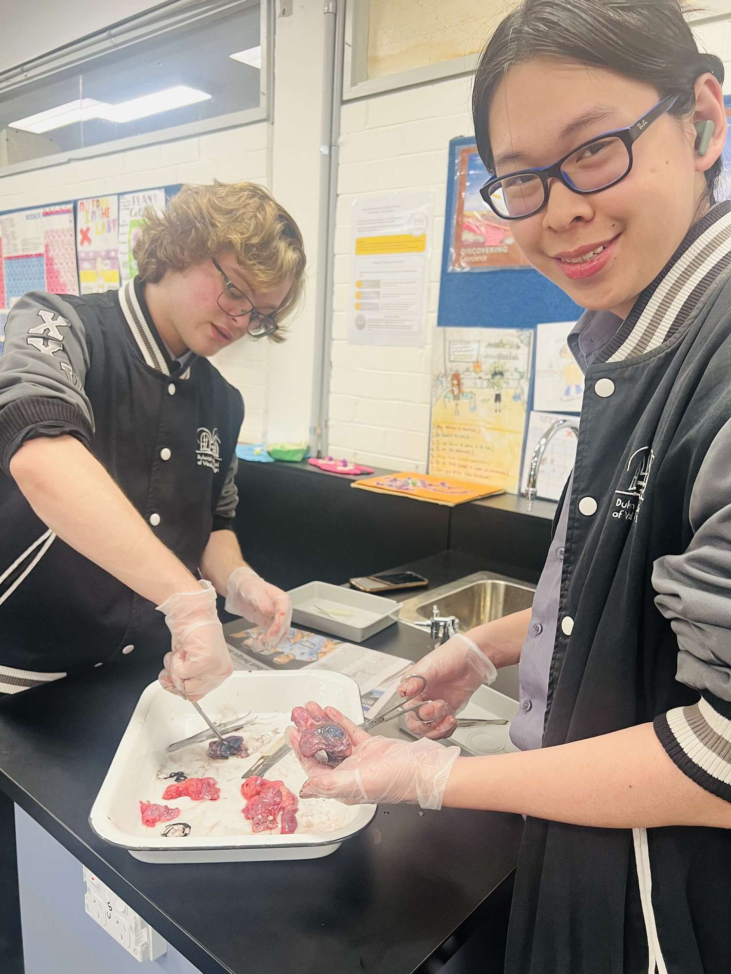 Eyes Wide Open: Year 12 Biology Students Dissect Cow Eyeballs