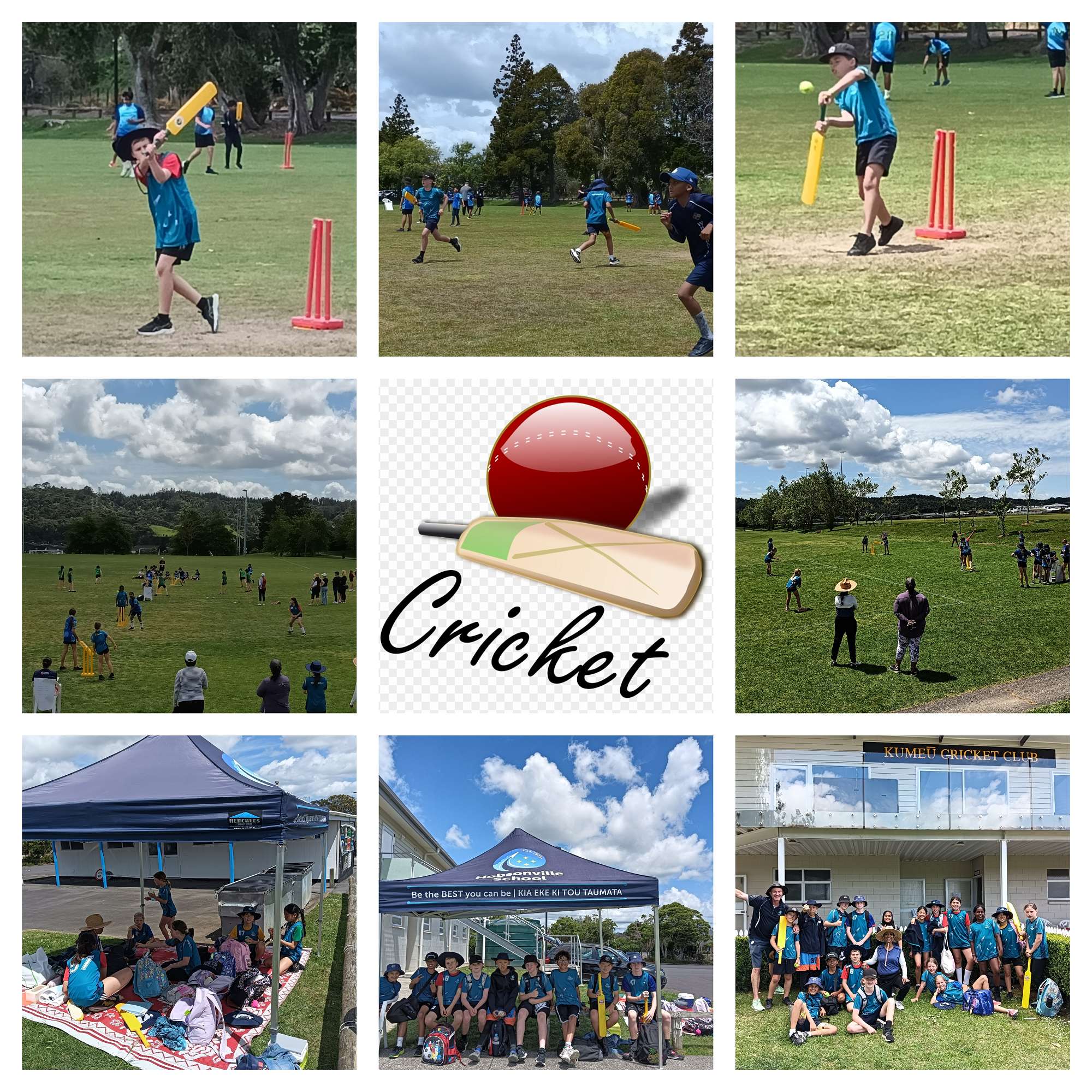 Y5/6 NW Cricket