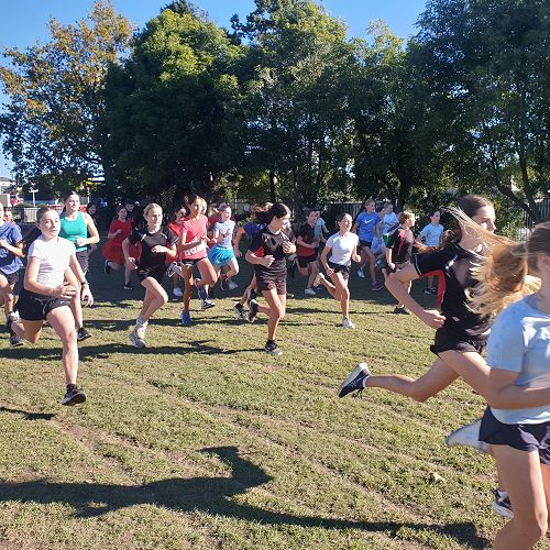 Waimea Intermediate School