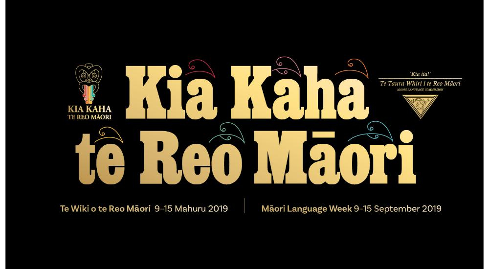 original-315b0e3b-ae60-46a1-aa21-225bffbe9bb4