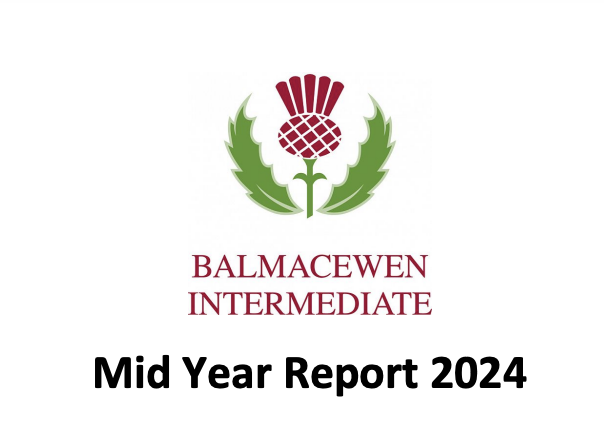 Mid year reports. | Balmacewen Intermediate