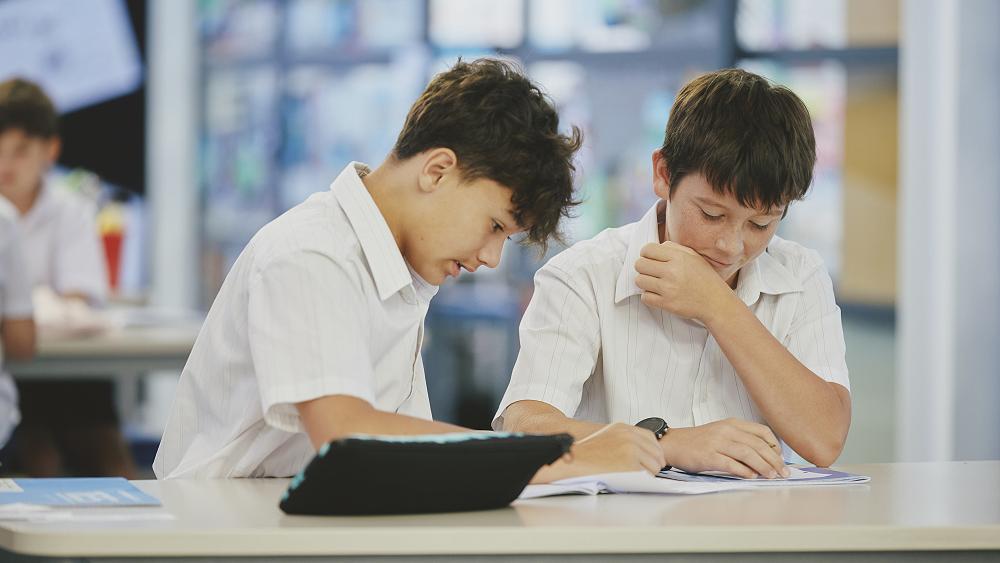 Learning Is Lifelong