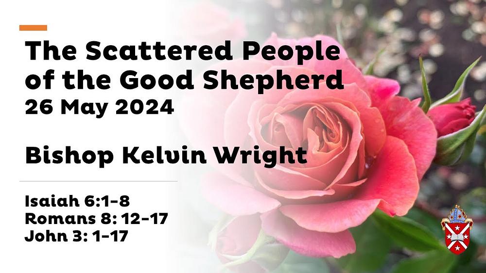 Video: Scattered People of the Good Shepherd - Trinity 2024 - Diocese ...