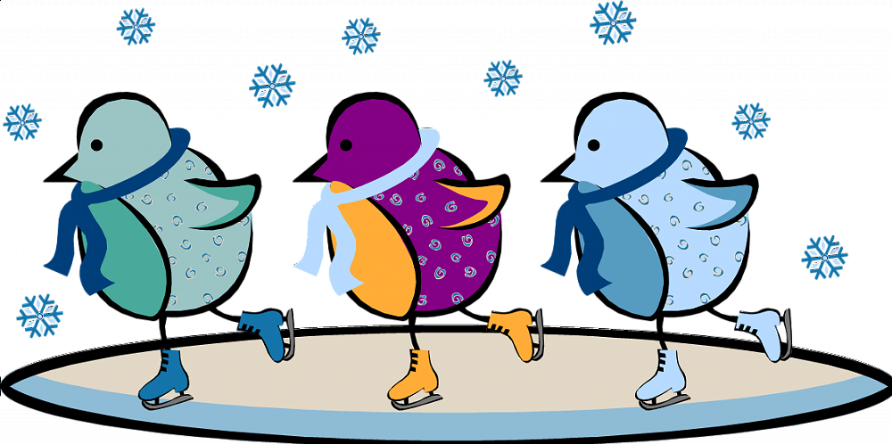 IMPORTANT: Hays Ice Skating Begins next Week