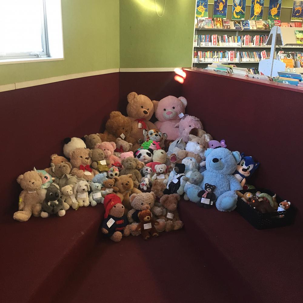 Bears in the Library