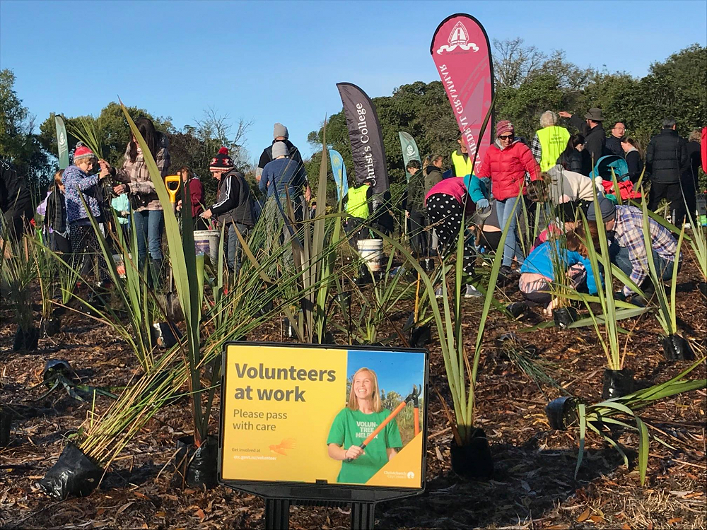 EcoAction Trust Tree Planting