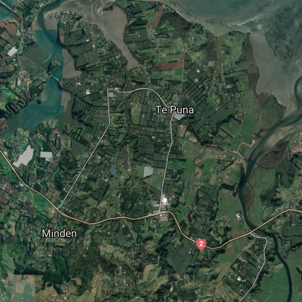 'Te Puna Was Usual Enough' Poems — Newsletter Term 3 Week 3 2021