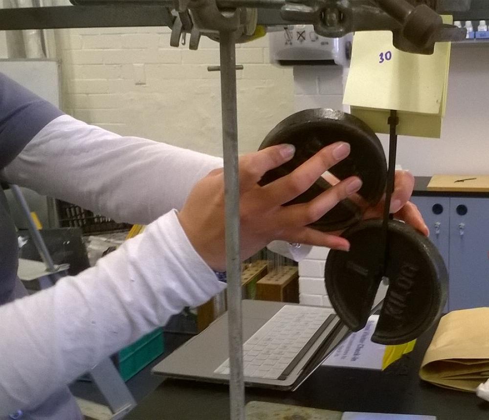 'Depth Studies" Yr 11