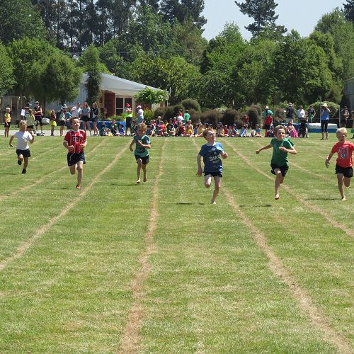 Point Primary Pānui - Term 4 Week 3