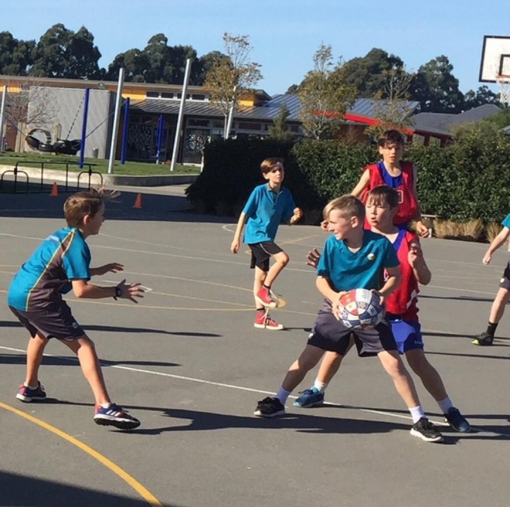 LWG Term 2 - Week 2 Update