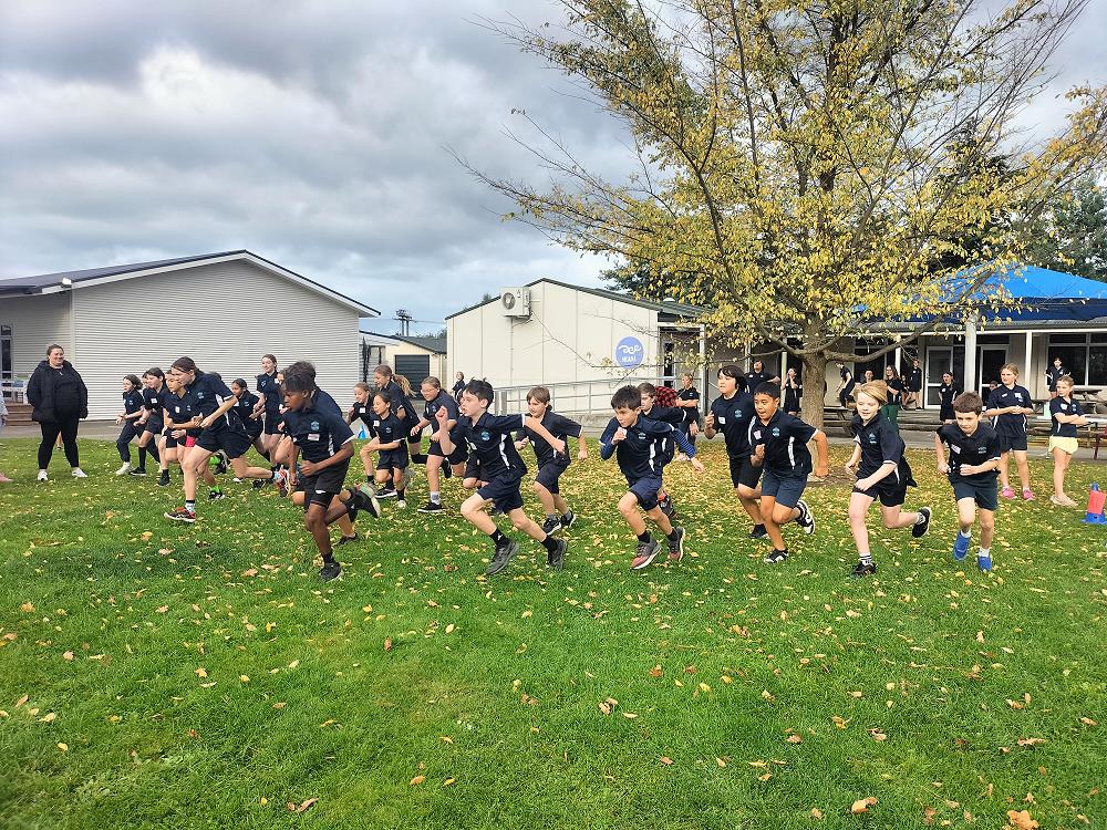 Senior Cross Country
