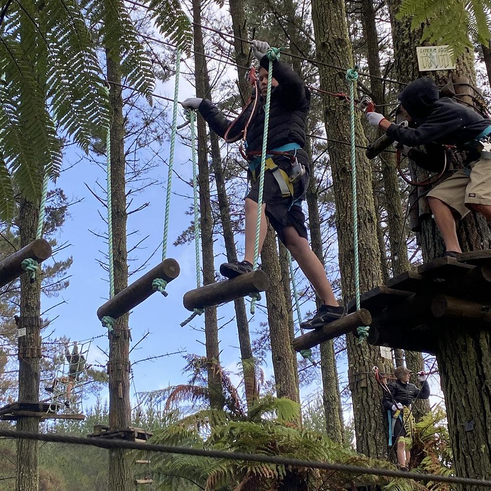 Adrenaline Forest Room 23 — Term 4 Week 9