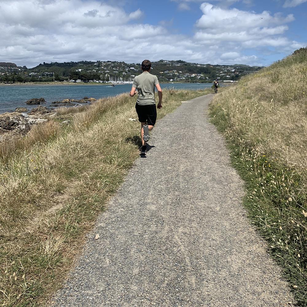 Survival of the fittest