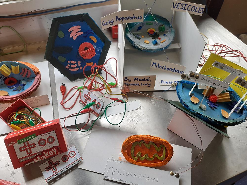 Year 7 and 8 Science - Living World