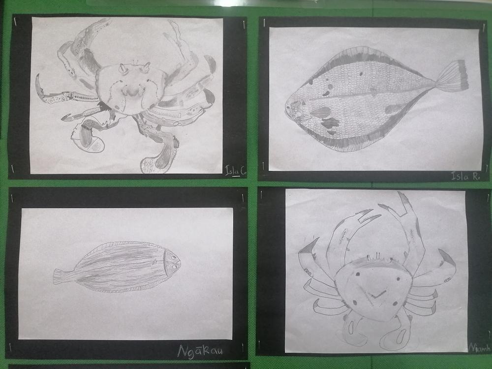 Room 6 Observational Drawings — Newsletter Week 4 Term 2 2022