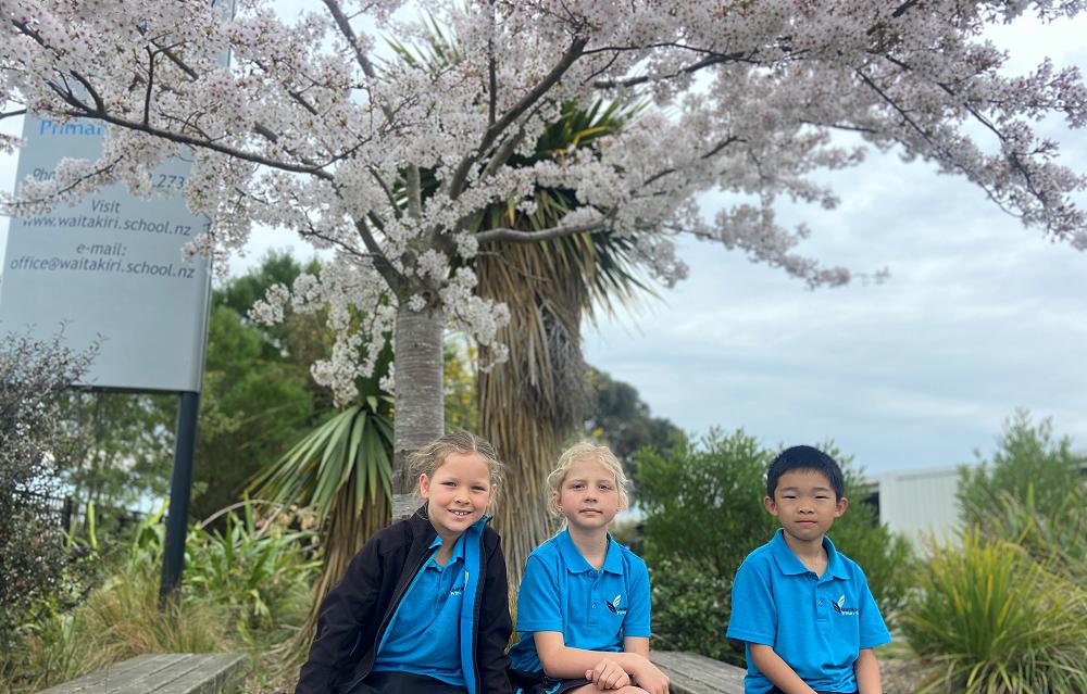 Newsletter - Term 4, Week 1