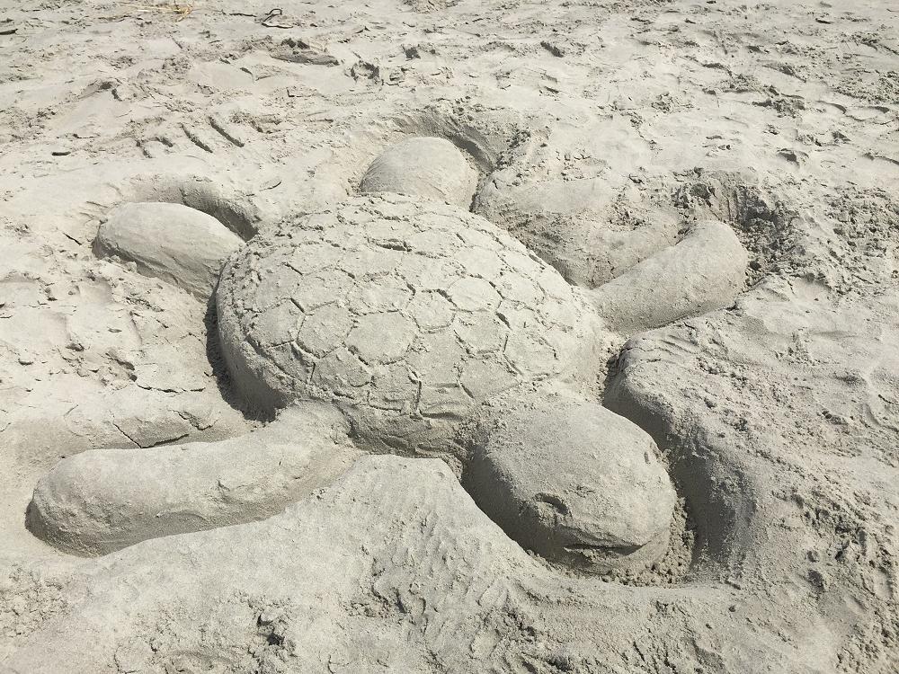 Year 9 Warrington Beach Day