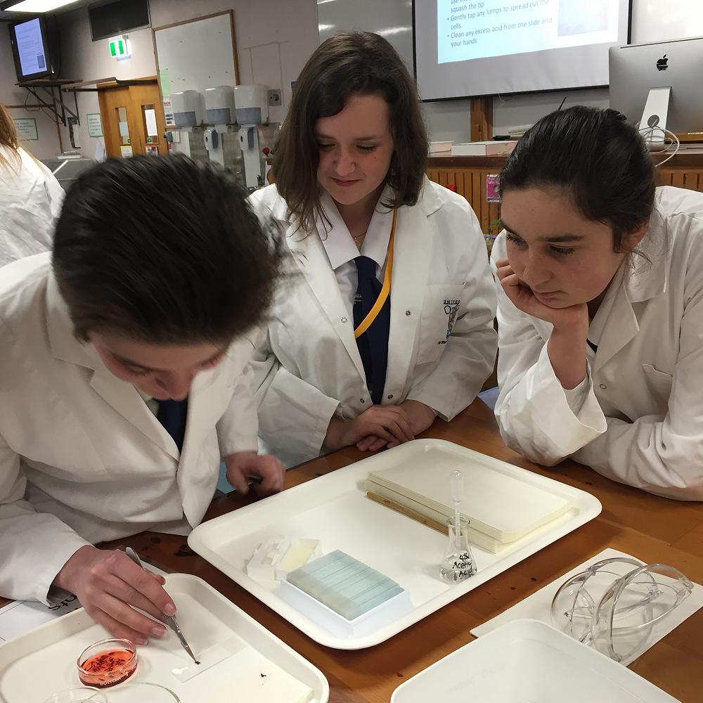 Leadership in Science Workshop