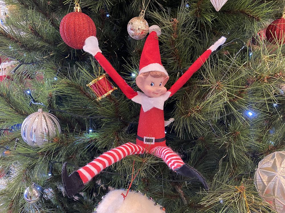 Newsletter - Week 9 Term 4