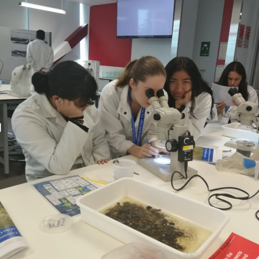 LCŌ's Integrated Learning Programme Features in NZASE Article