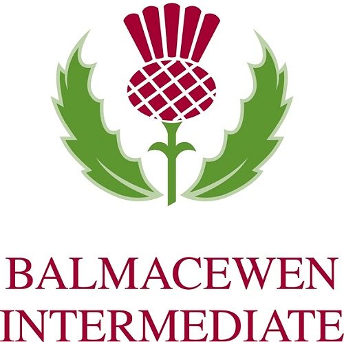 Learning is Forever » Balmacewen Intermediate