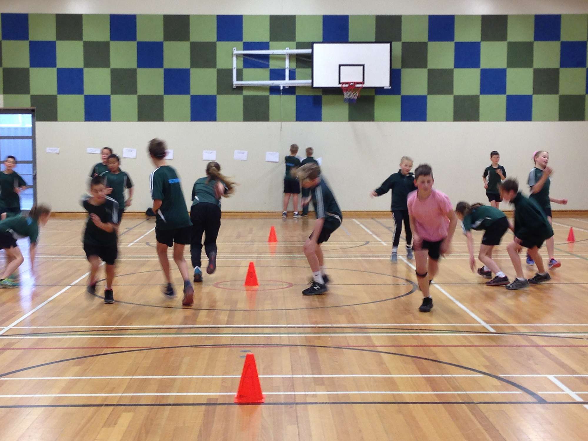 WASP applications are now open for 2019