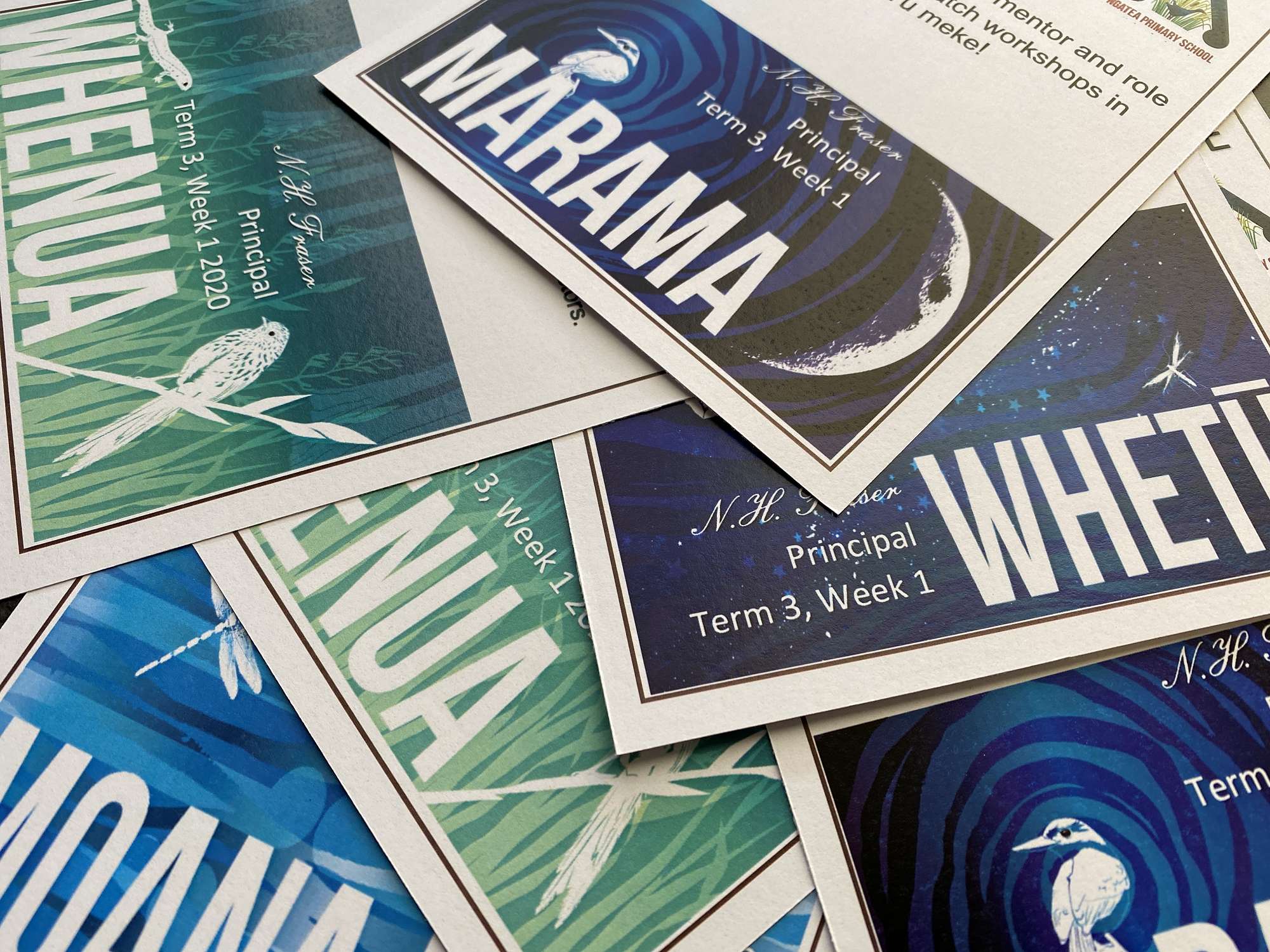 ASSEMBLY CERTIFICATE - MOANA NUI