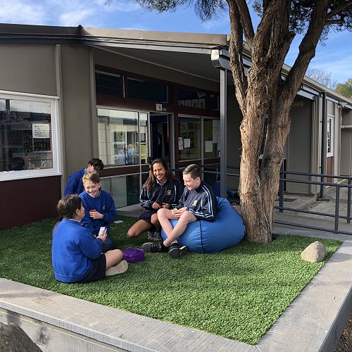 Queenspark Te Hua Mānuka