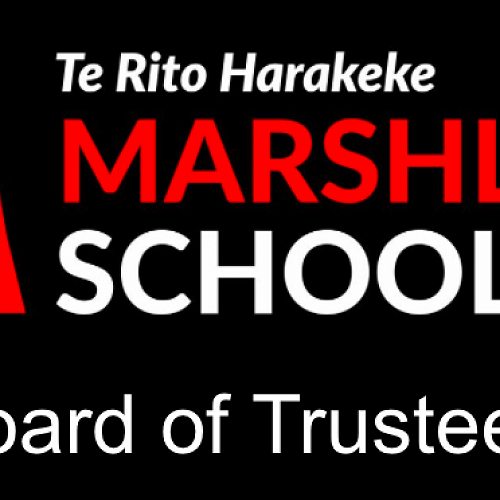 Te Rito Harakeke Marshland School