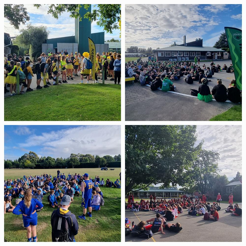 DHS Dispatch, 16 February 2024