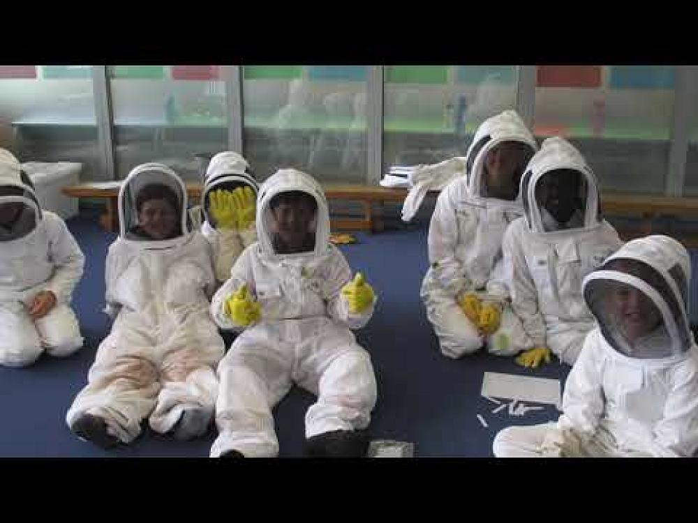 Video: CTK Term 3 Movie