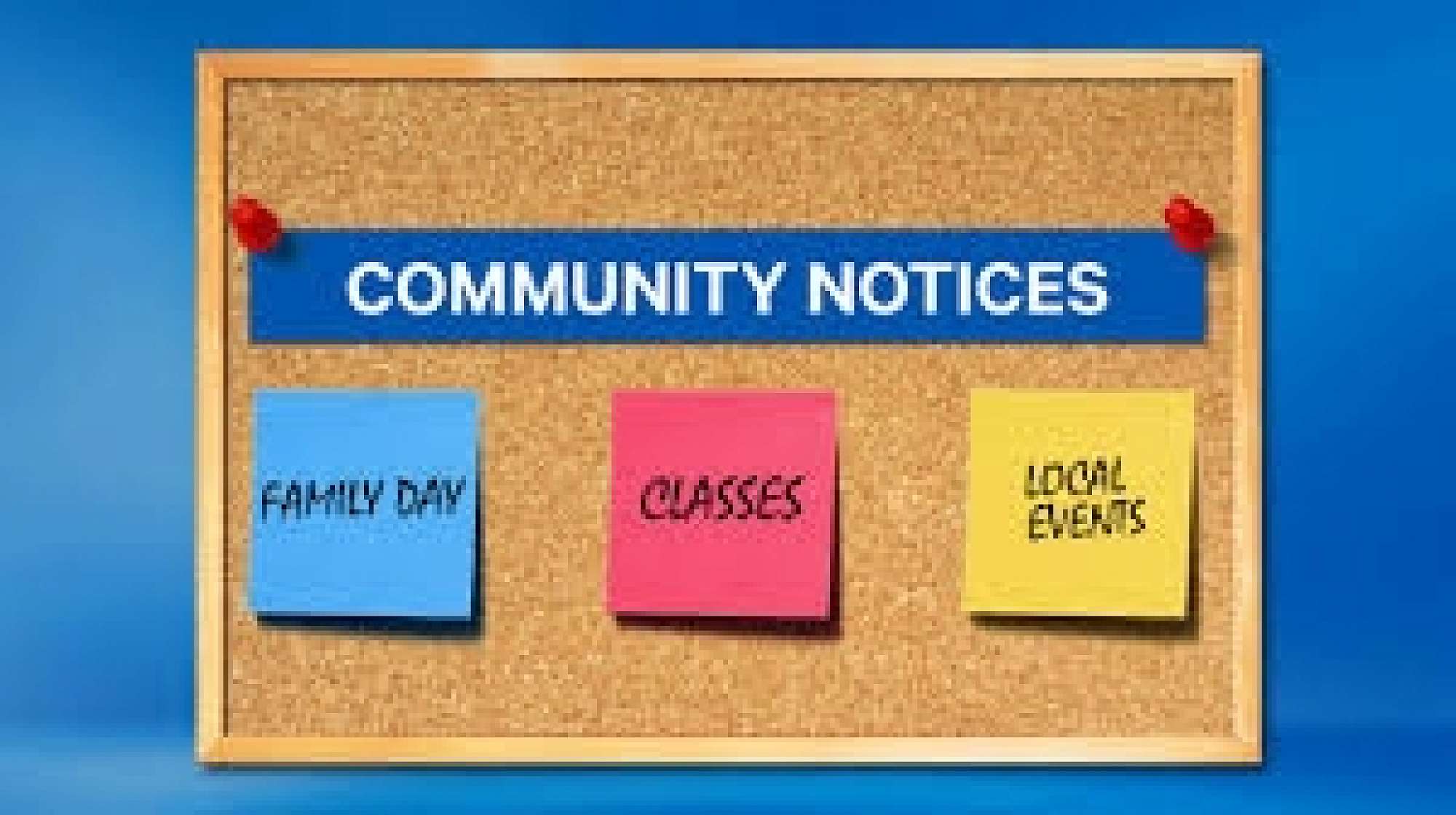 Newsletter 3, Week 3, Term 3, 2023