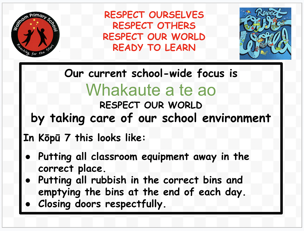 Respect our World - Positive Behaviour for Learning
