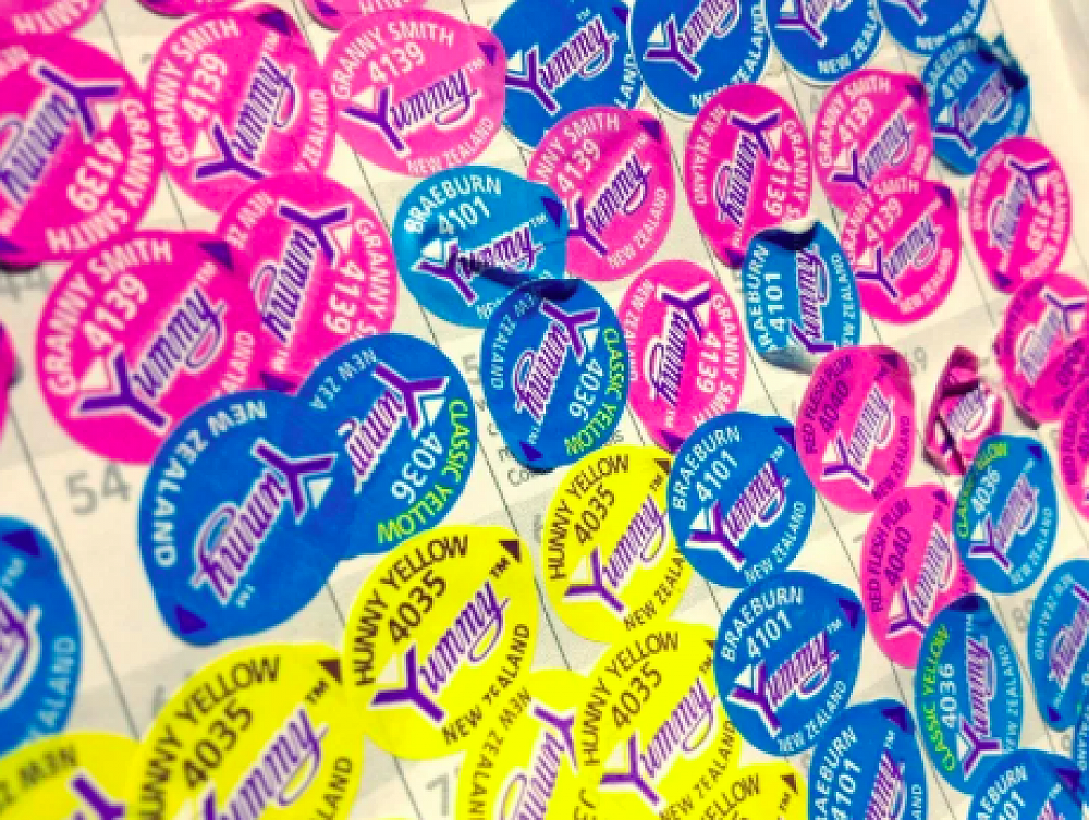 It's Yummy Sticker Time