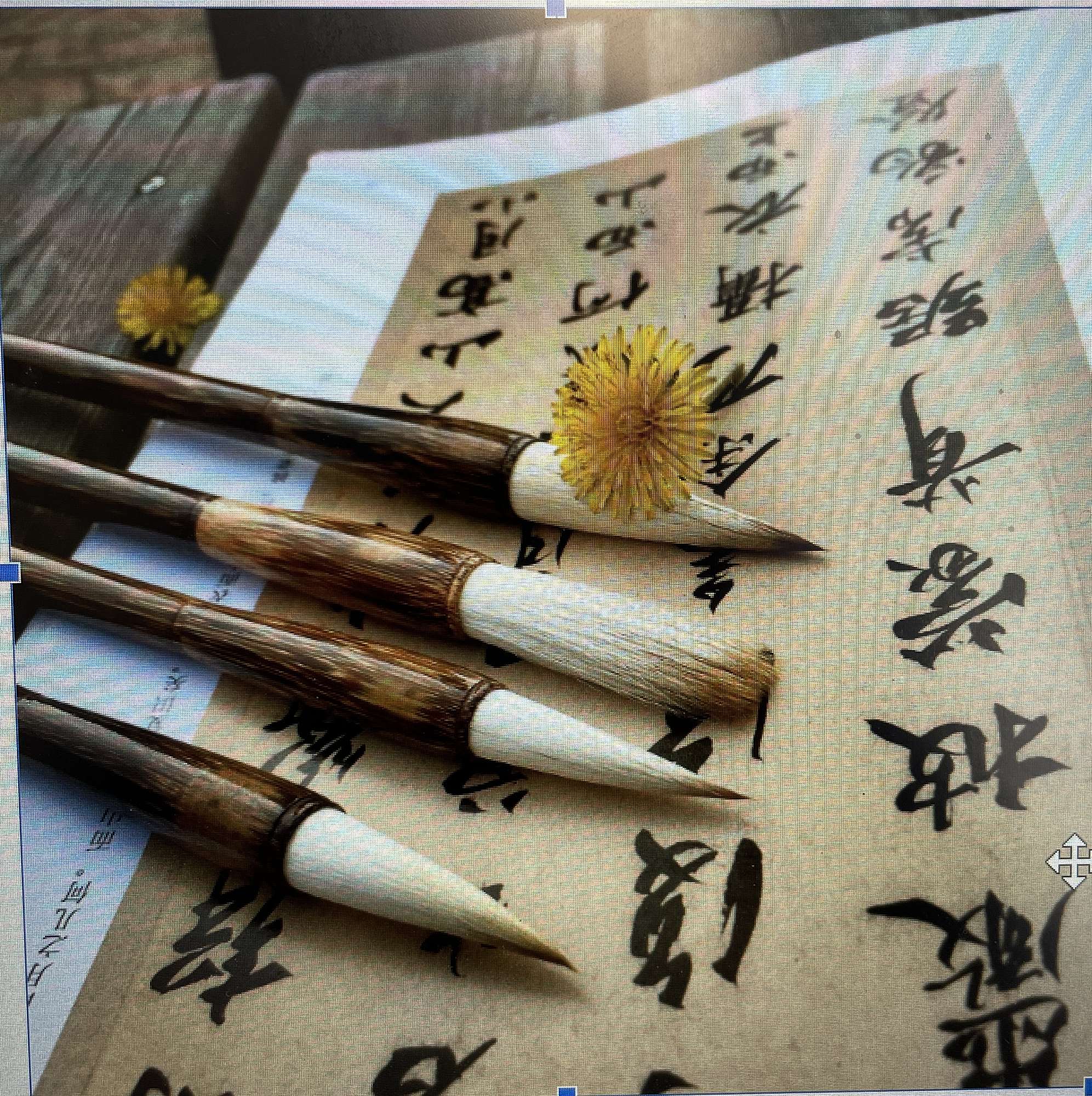 The Fourteenth New Zealand Chinese Calligraphy Competition