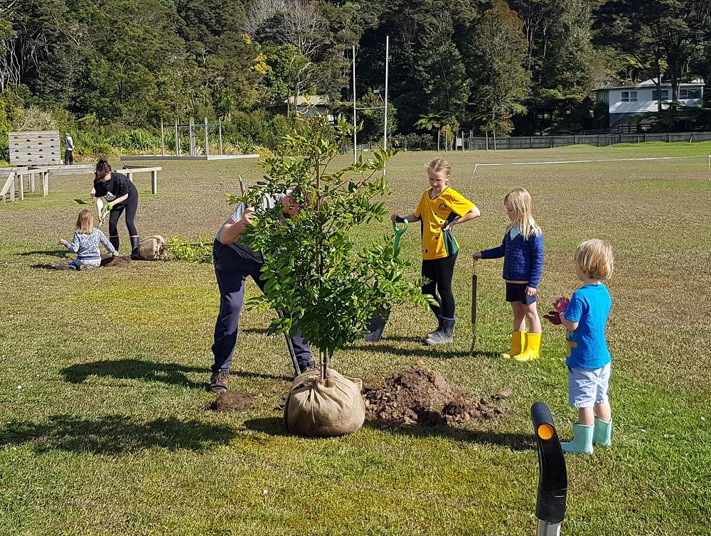 Konini Planting Bee — Konini Newsletter - 4 September 2023