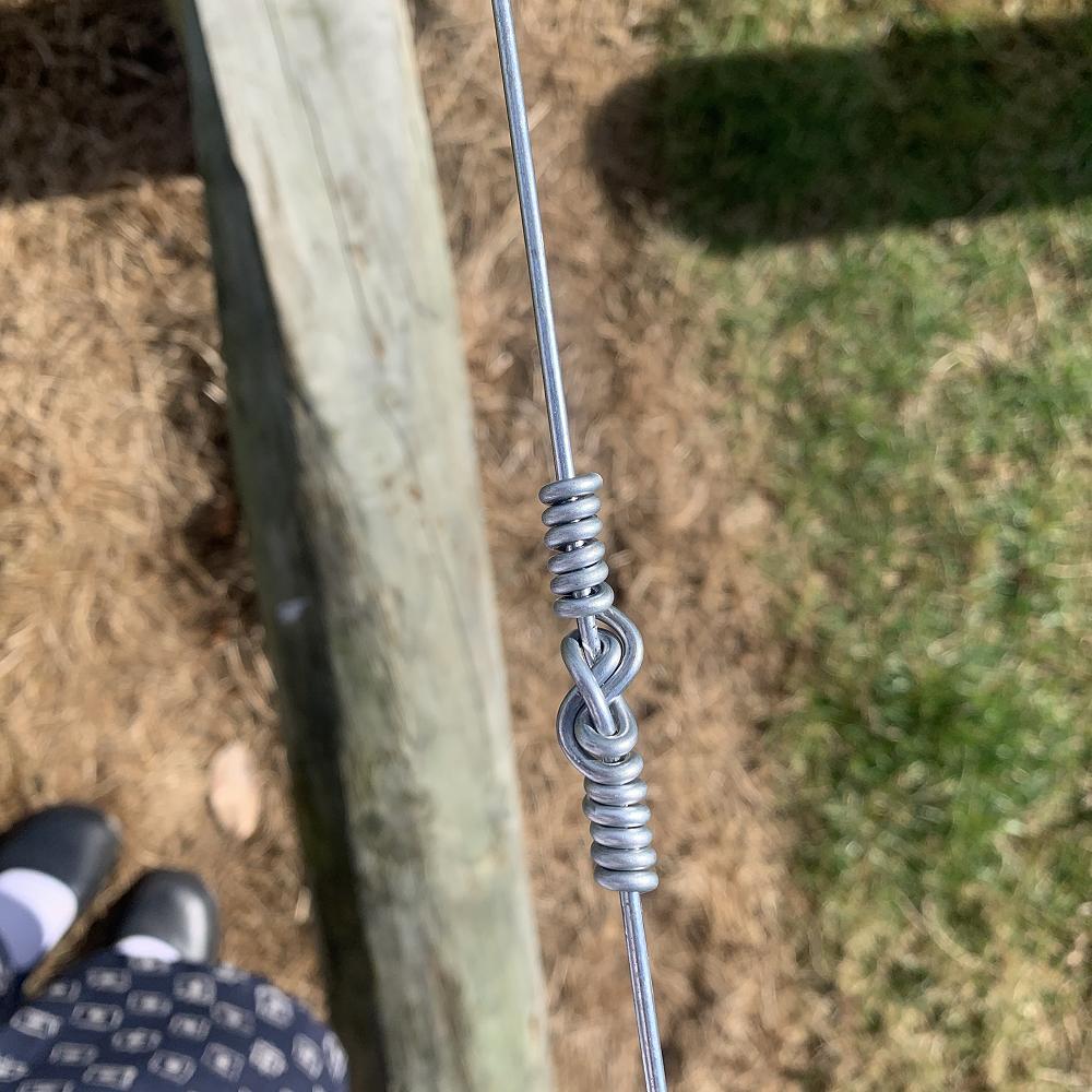 Year 11 Students Knot Achieving